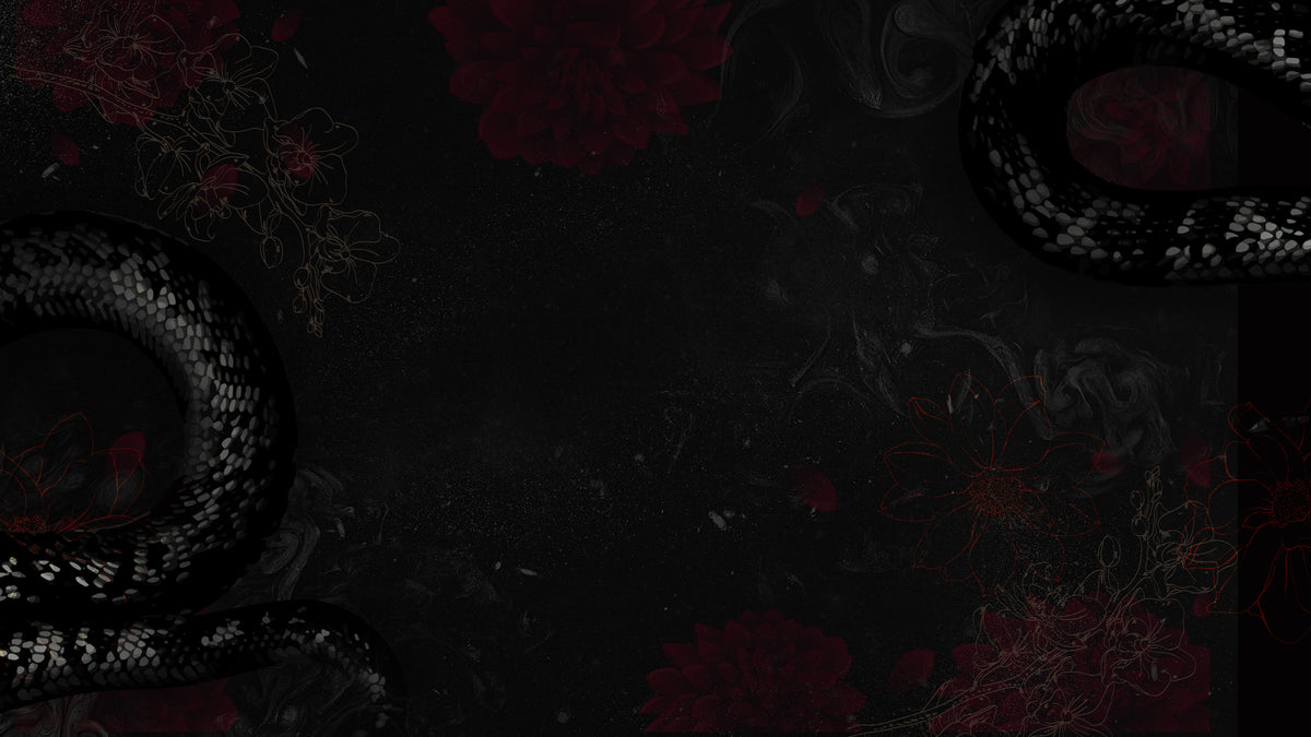 Stepbrother Games Collection – atlasrosedarkromance